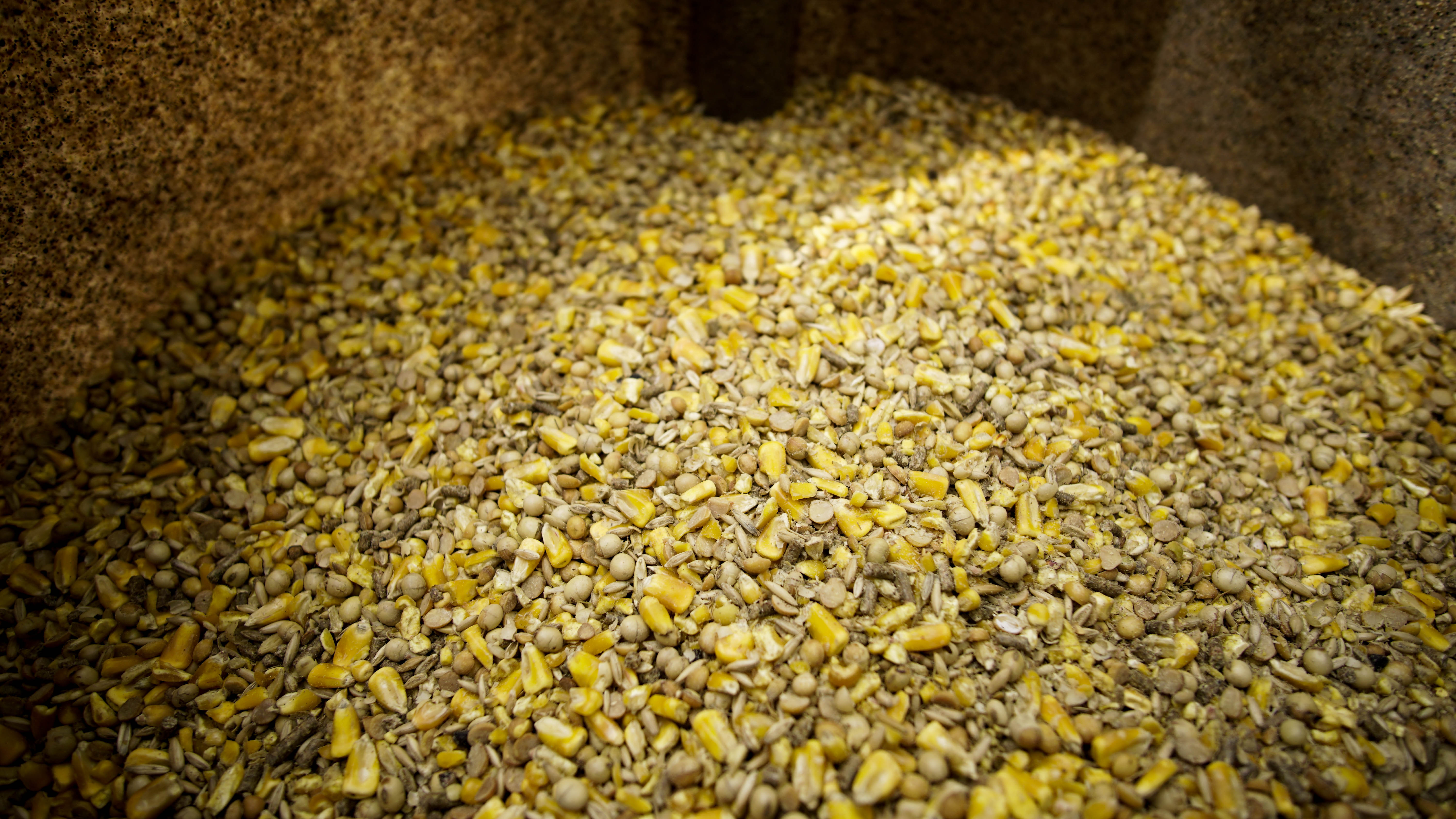 Maximizer Plus Pro Formula Complete Deer Feed