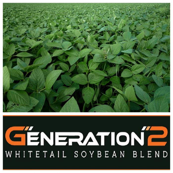 RWWP Generation 2 Whitetail Soybean | Food Plot Seed- Food Plots- Deer ...