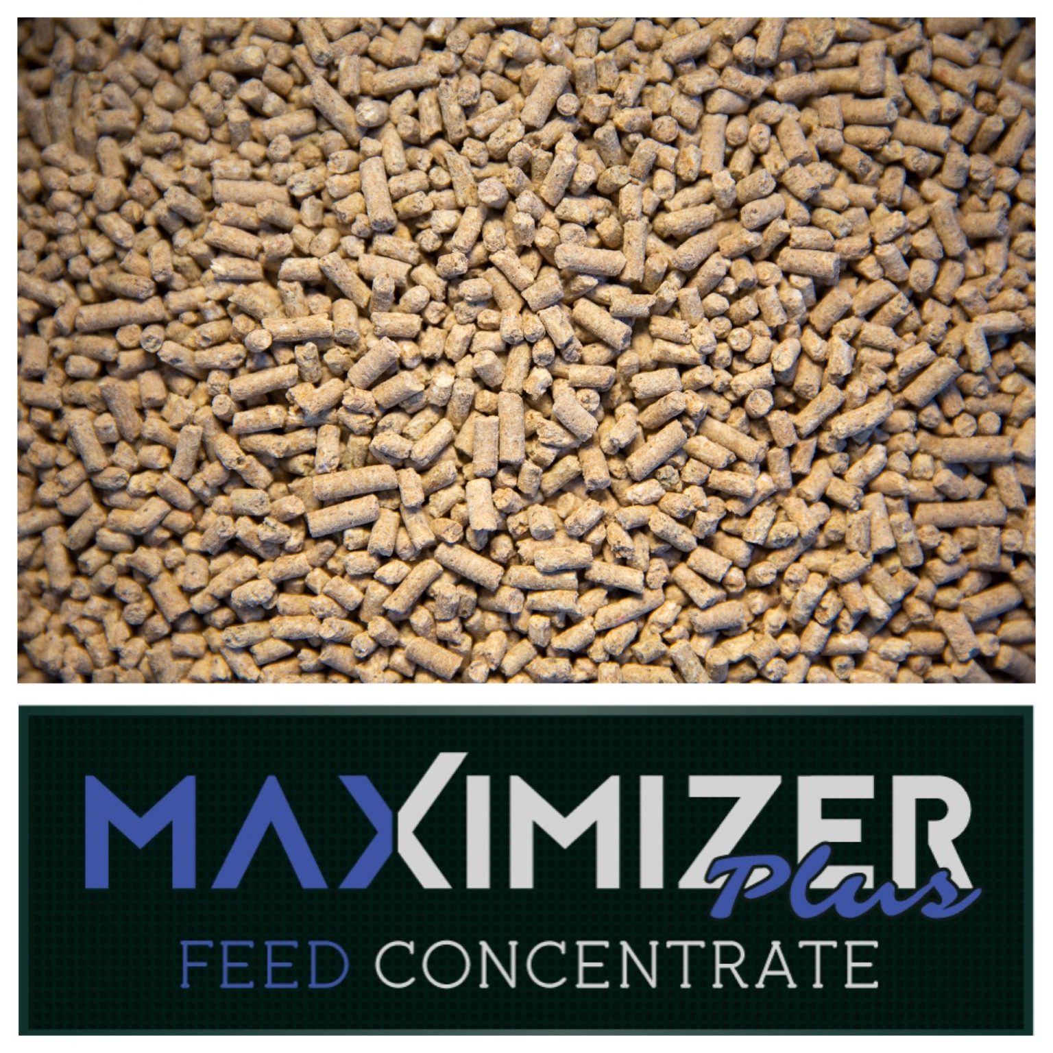 Maximizer Plus Feed Concentrate | Food Plot Seed- Food Plots- Deer ...