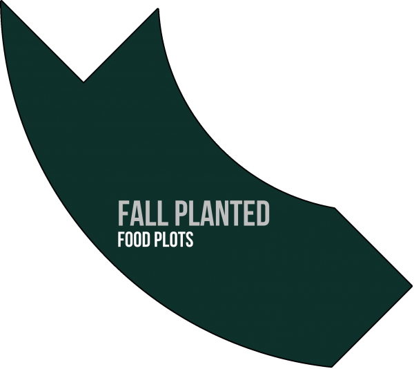 Shop | Food Plot Seed- Food Plots- Deer Minerals- Deer Feed- EHD