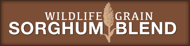 Wildlife Grain Sorghum Blend | Food Plot Seed- Food Plots- Deer ...